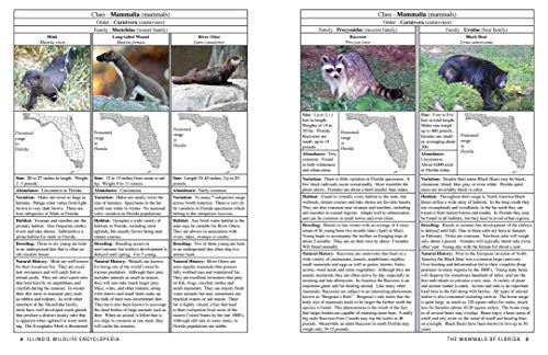 Florida Wildlife Encyclopedia: An Illustrated Guide to Birds, Fish, Mammals, Reptiles, and Amphibians