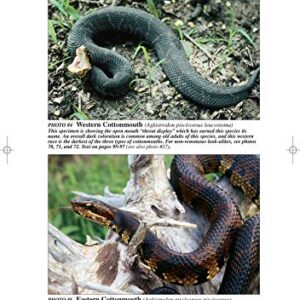 U.S. Guide to Venomous Snakes and Their Mimics