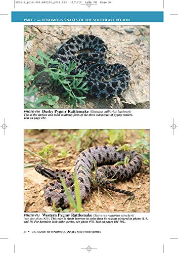 U.S. Guide to Venomous Snakes and Their Mimics