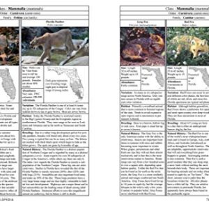 Florida Wildlife Encyclopedia: An Illustrated Guide to Birds, Fish, Mammals, Reptiles, and Amphibians