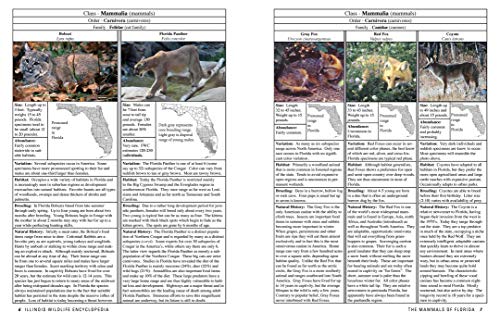 Florida Wildlife Encyclopedia: An Illustrated Guide to Birds, Fish, Mammals, Reptiles, and Amphibians