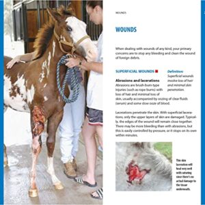 Dr. Kellon's Guide to First Aid for Horses: A Quick and Easy Reference to Conditions That Require Emergency Treatment