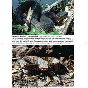 U.S. Guide to Venomous Snakes and Their Mimics