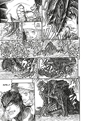 Berserk Deluxe Volume 13 (Berserk, 13)