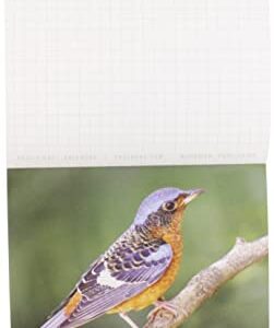 Audubon Birds Page-A-Day Calendar 2022