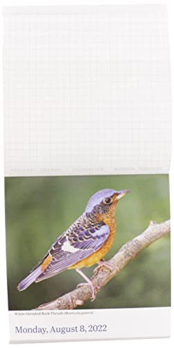 Audubon Birds Page-A-Day Calendar 2022