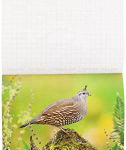 Audubon Birds Page-A-Day Calendar 2022