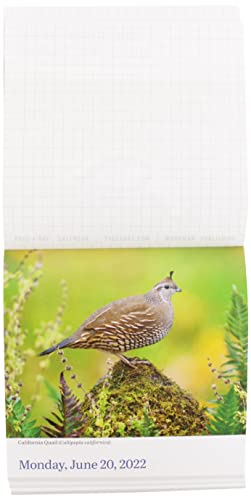 Audubon Birds Page-A-Day Calendar 2022