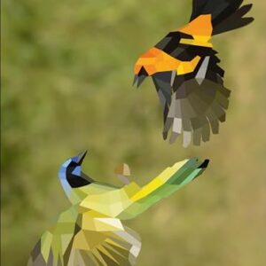 Paint by Sticker: Birds: Create 12 Stunning Images One Sticker at a Time!