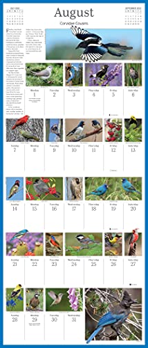 Audubon Songbirds and Other Backyard Birds Picture-A-Day Wall Calendar 2022: Your Daily Sighting of Songsters that Bring Color, Joy, and Sweet Melodies.