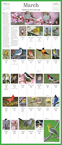 Audubon Songbirds and Other Backyard Birds Picture-A-Day Wall Calendar 2022: Your Daily Sighting of Songsters that Bring Color, Joy, and Sweet Melodies.