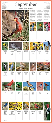 Audubon Songbirds and Other Backyard Birds Picture-A-Day Wall Calendar 2022: Your Daily Sighting of Songsters that Bring Color, Joy, and Sweet Melodies.