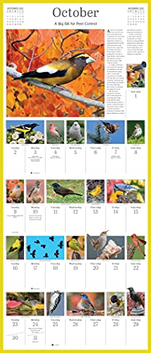 Audubon Songbirds and Other Backyard Birds Picture-A-Day Wall Calendar 2022: Your Daily Sighting of Songsters that Bring Color, Joy, and Sweet Melodies.