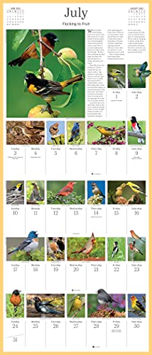 Audubon Songbirds and Other Backyard Birds Picture-A-Day Wall Calendar 2022: Your Daily Sighting of Songsters that Bring Color, Joy, and Sweet Melodies.