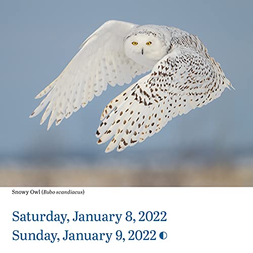 Audubon Birds Page-A-Day Calendar 2022