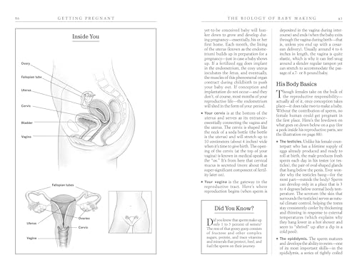 What to Expect Before You're Expecting: The Complete Guide to Getting Pregnant