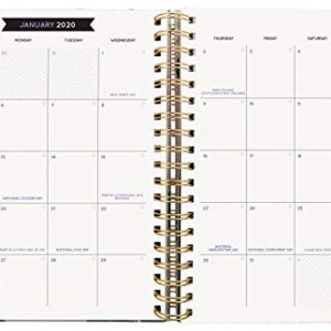 Stay Golden 17-Month Large Planner with 1000+ Stickers 2019-2020 (Pipsticks+Workman)