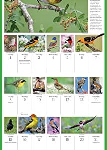 Audubon Songbirds and Other Backyard Birds Picture-A-Day Wall Calendar 2022: Your Daily Sighting of Songsters that Bring Color, Joy, and Sweet Melodies.