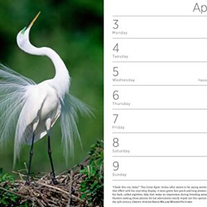 Audubon Engagement Calendar 2023: A Tribute to the Wilderness and its Spectacular Landscapes