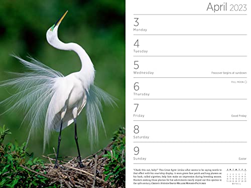 Audubon Engagement Calendar 2023: A Tribute to the Wilderness and its Spectacular Landscapes