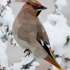 Paint by Sticker: Birds: Create 12 Stunning Images One Sticker at a Time!