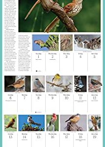 Audubon Songbirds and Other Backyard Birds Picture-A-Day Wall Calendar 2022: Your Daily Sighting of Songsters that Bring Color, Joy, and Sweet Melodies.