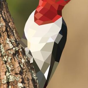 Paint by Sticker: Birds: Create 12 Stunning Images One Sticker at a Time!