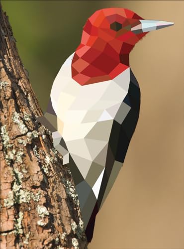 Paint by Sticker: Birds: Create 12 Stunning Images One Sticker at a Time!