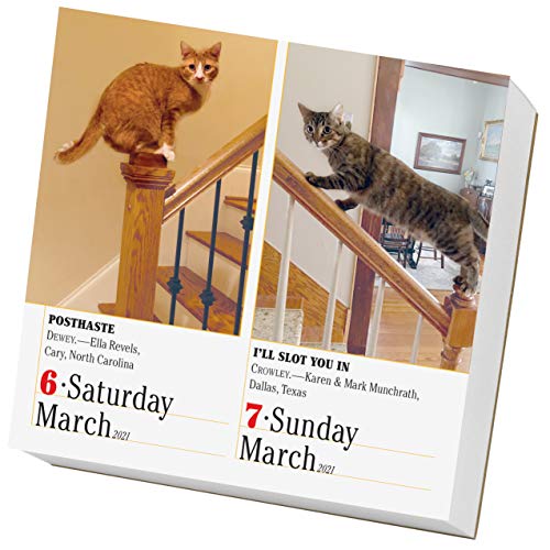 365 Cats Page-A-Day Calendar 2021