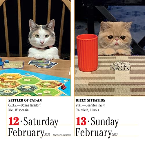 365 Cats Page-A-Day Calendar 2022: The World's Favorite Cat Calendar