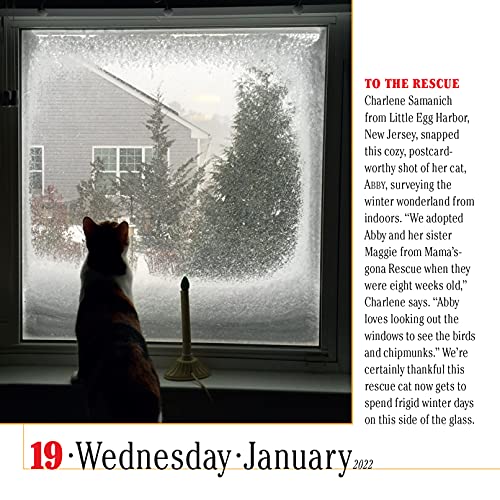 365 Cats Page-A-Day Calendar 2022: The World's Favorite Cat Calendar