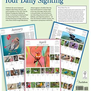 Audubon Songbirds and Other Backyard Birds Picture-A-Day Wall Calendar 2022: Your Daily Sighting of Songsters that Bring Color, Joy, and Sweet Melodies.