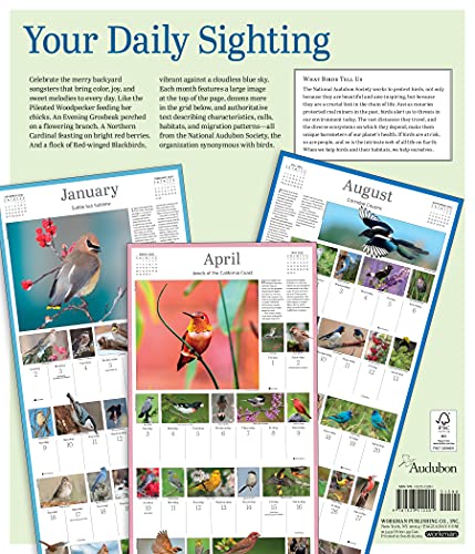 Audubon Songbirds and Other Backyard Birds Picture-A-Day Wall Calendar 2022: Your Daily Sighting of Songsters that Bring Color, Joy, and Sweet Melodies.