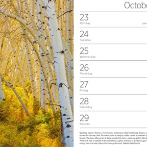 Audubon Engagement Calendar 2023: A Tribute to the Wilderness and its Spectacular Landscapes