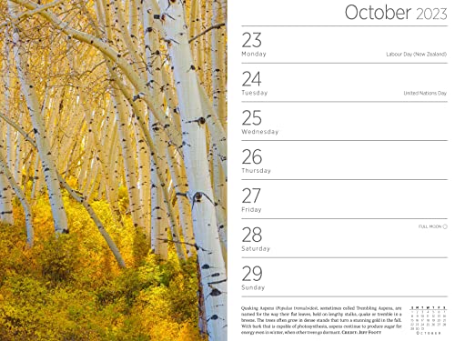 Audubon Engagement Calendar 2023: A Tribute to the Wilderness and its Spectacular Landscapes