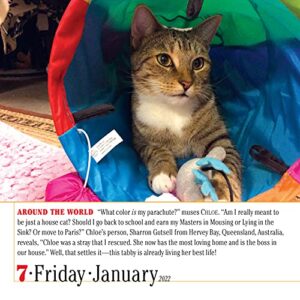 365 Cats Page-A-Day Calendar 2022: The World's Favorite Cat Calendar