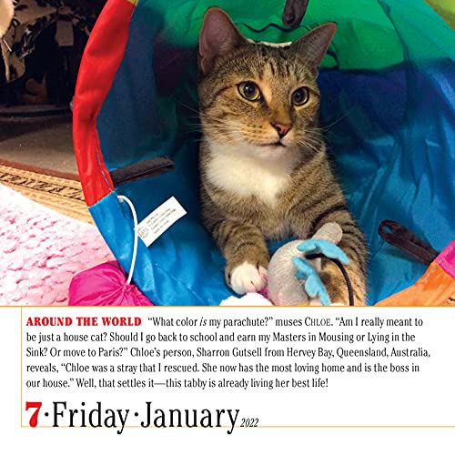 365 Cats Page-A-Day Calendar 2022: The World's Favorite Cat Calendar