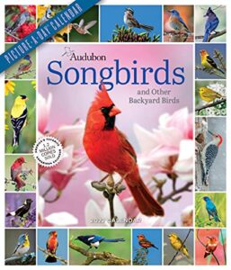 audubon songbirds and other backyard birds picture-a-day wall calendar 2022: your daily sighting of songsters that bring color, joy, and sweet melodies.