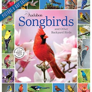 Audubon Songbirds and Other Backyard Birds Picture-A-Day Wall Calendar 2022: Your Daily Sighting of Songsters that Bring Color, Joy, and Sweet Melodies.