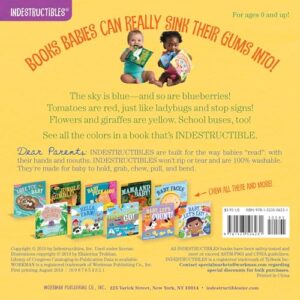 Indestructibles: Baby, See the Colors!: Chew Proof · Rip Proof · Nontoxic · 100% Washable (Book for Babies, Newborn Books, Safe to Chew)