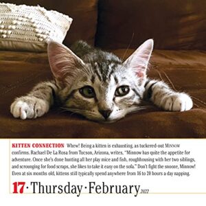 365 Cats Page-A-Day Calendar 2022: The World's Favorite Cat Calendar