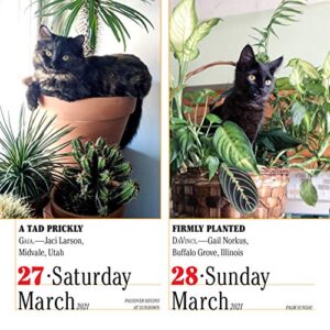 365 Cats Page-A-Day Calendar 2021