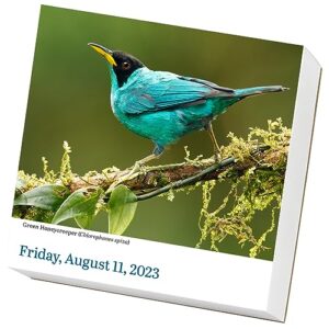 Audubon Birds Page-A-Day Calendar 2023: The World's Favorite Bird Calendar