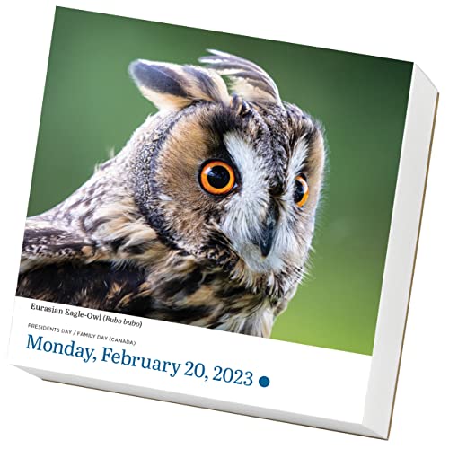 Audubon Birds Page-A-Day Calendar 2023: The World's Favorite Bird Calendar