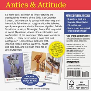 365 Cats Page-A-Day Calendar 2021