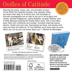 365 Cats Page-A-Day Calendar 2022: The World's Favorite Cat Calendar