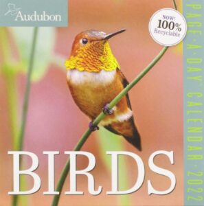 audubon birds page-a-day calendar 2022