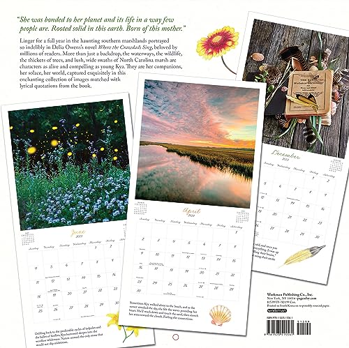 Where the Crawdads Sing Wall Calendar 2023