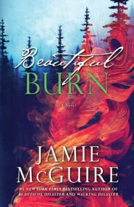 beautiful burn: a novel (the maddox brothers book 4)