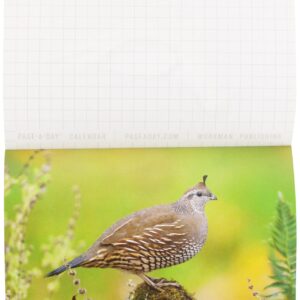 Audubon Birds Page-A-Day Calendar 2022